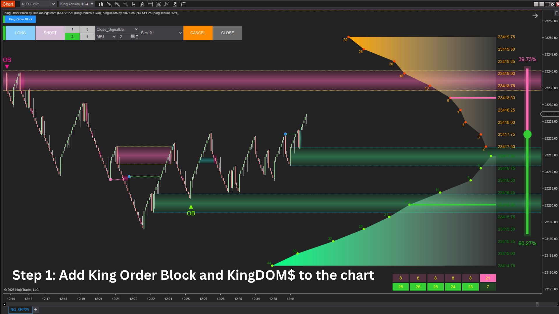 [Package] Lion King$ Trading Indicator for NinjaTrader 8 - RenkoKings
