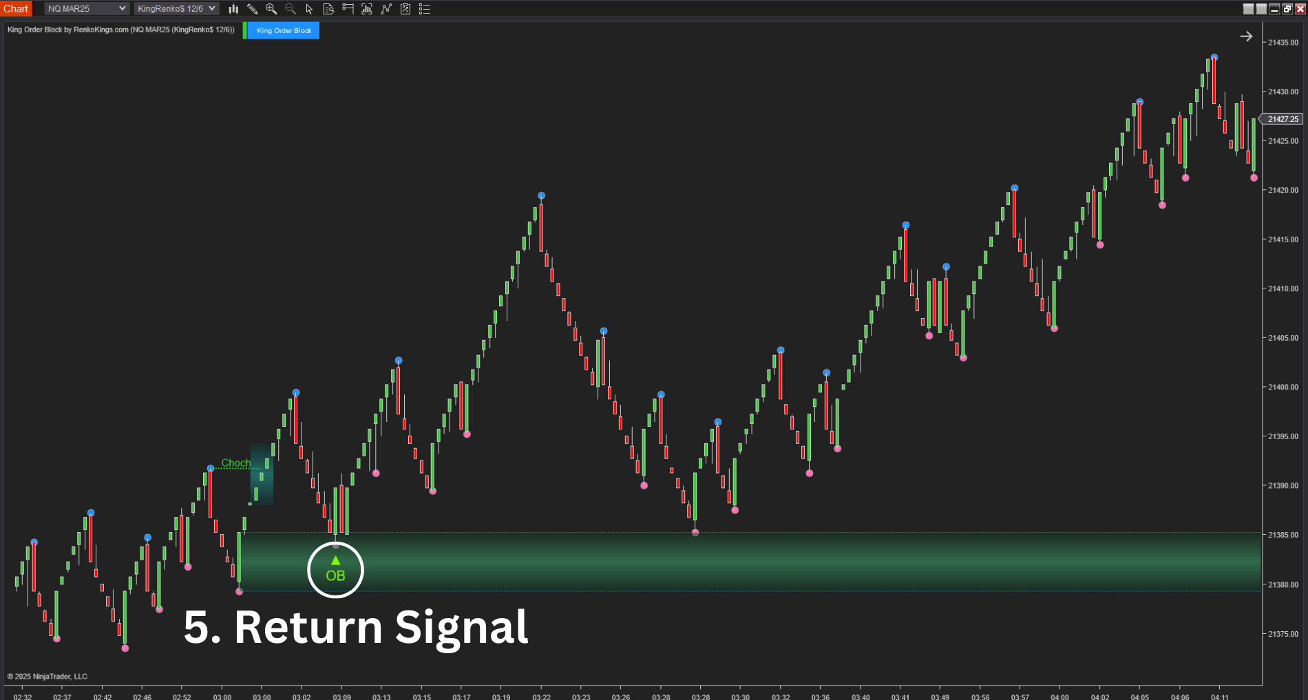 Top Order Block Indicator NinjaTrader 8 in 2025 - RenkoKings