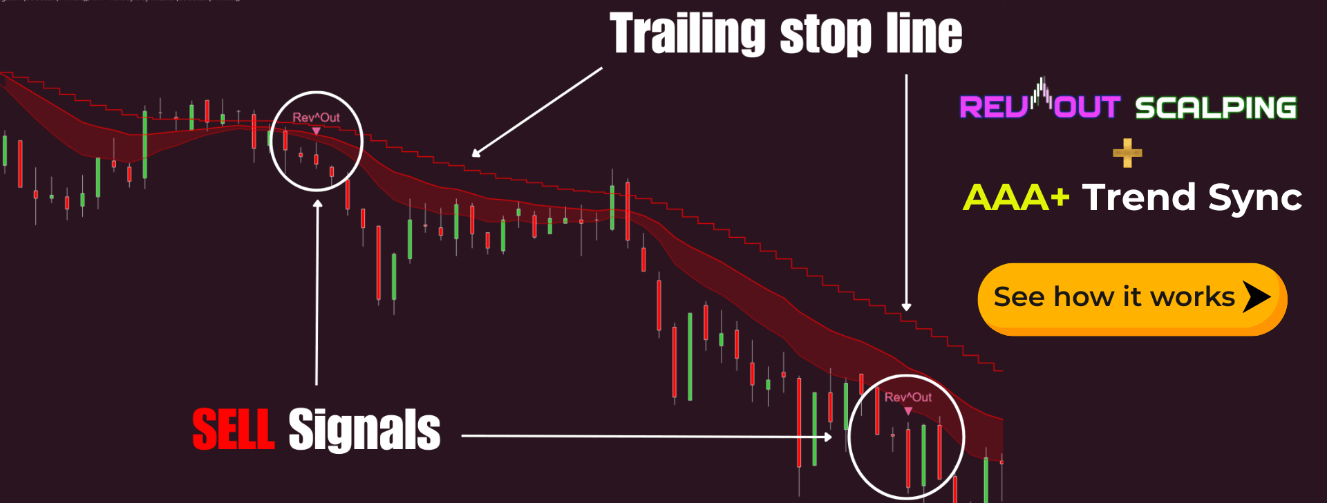 ninZaRenko FREE download for NinjaTrader 8 | Renko Bars Ninjatrader 8 ...